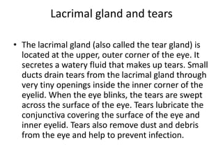 EYE ANATOMY AND PHYSIOLOGY ppt.pptx