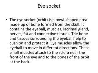 EYE ANATOMY AND PHYSIOLOGY ppt.pptx