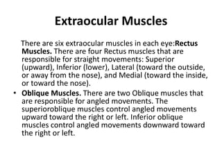 EYE ANATOMY AND PHYSIOLOGY ppt.pptx