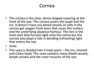 EYE ANATOMY AND PHYSIOLOGY ppt.pptx