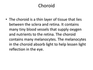 EYE ANATOMY AND PHYSIOLOGY ppt.pptx