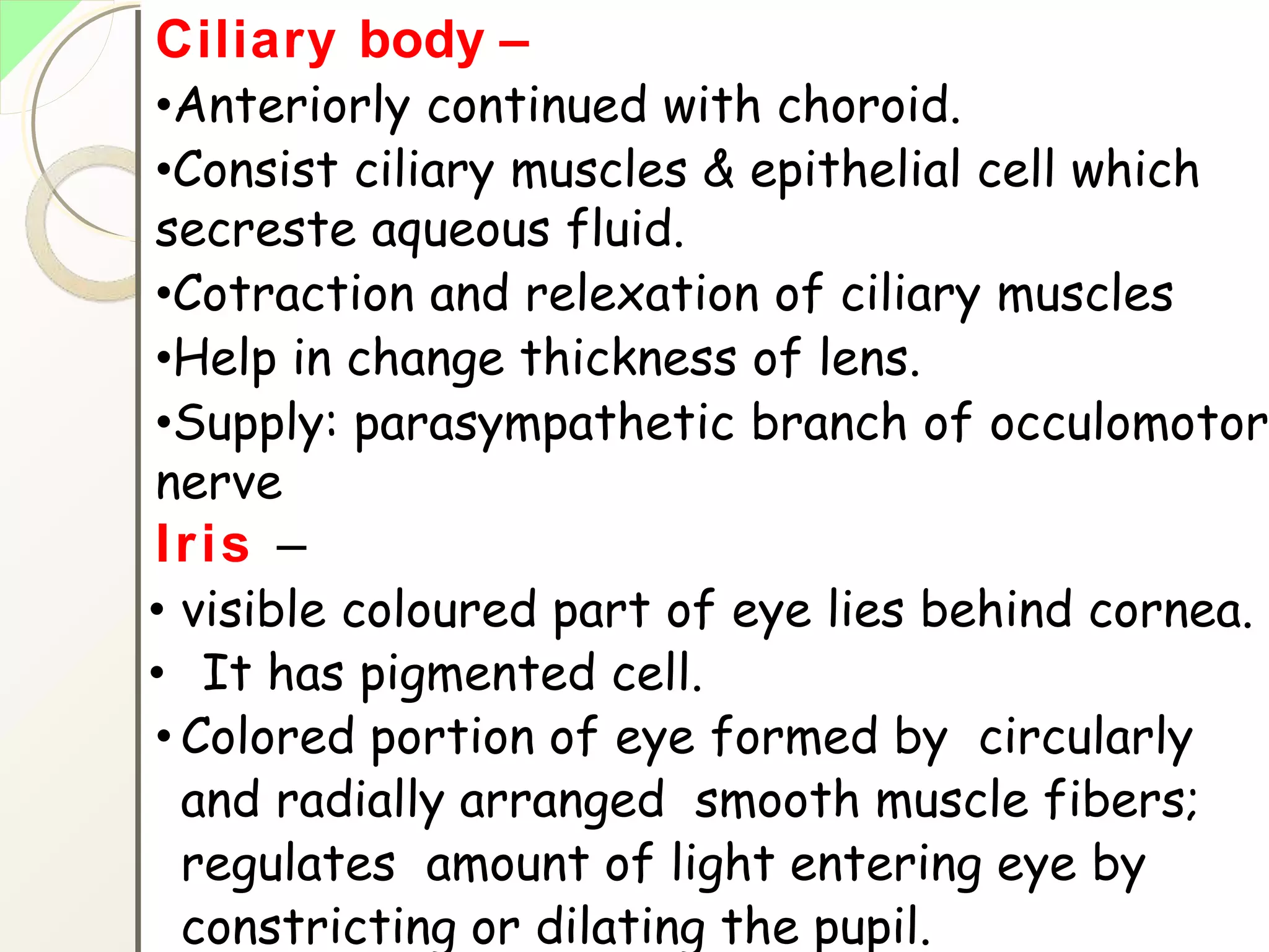 Eye Anatomy & Physiology | PPTX