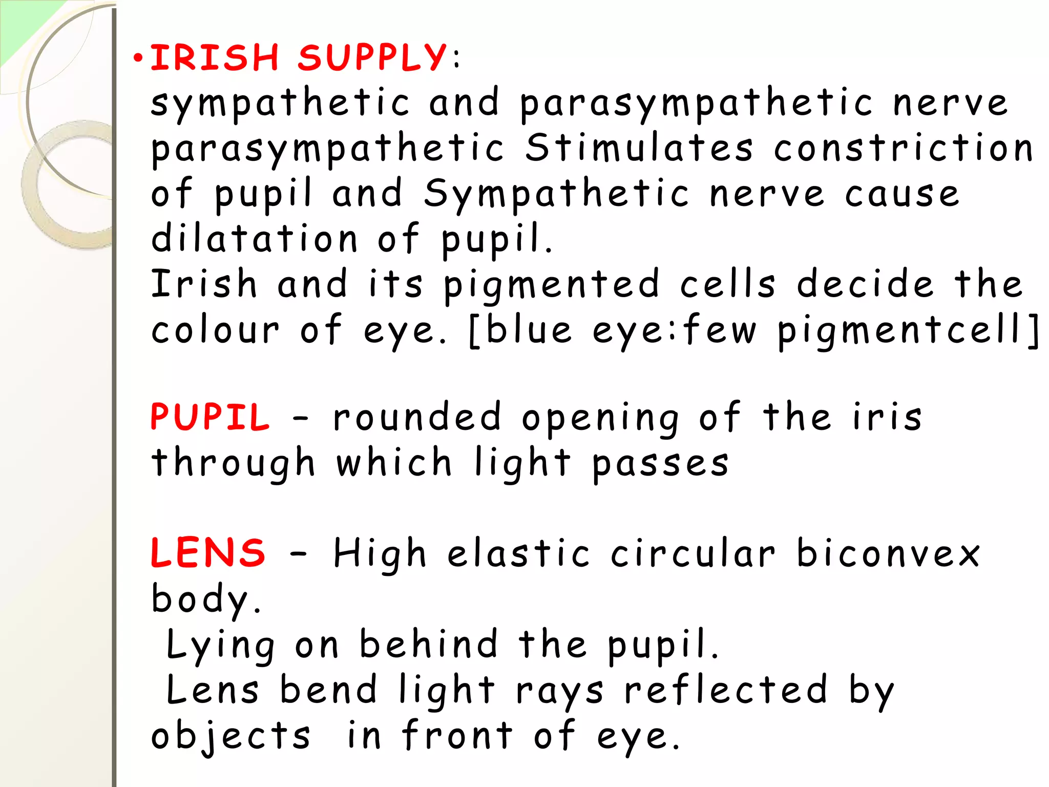 Eye Anatomy & Physiology | PPTX