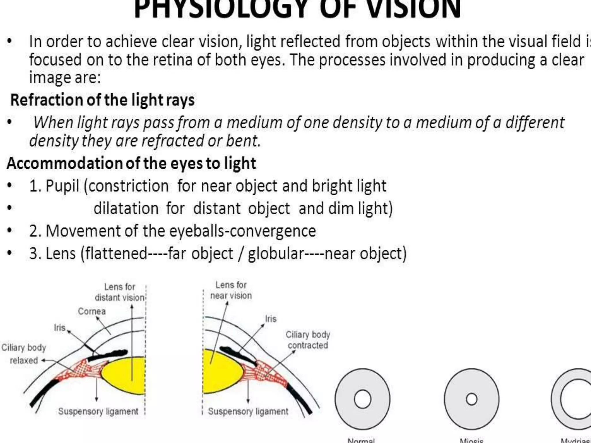 Eye Anatomy & Physiology | PPTX