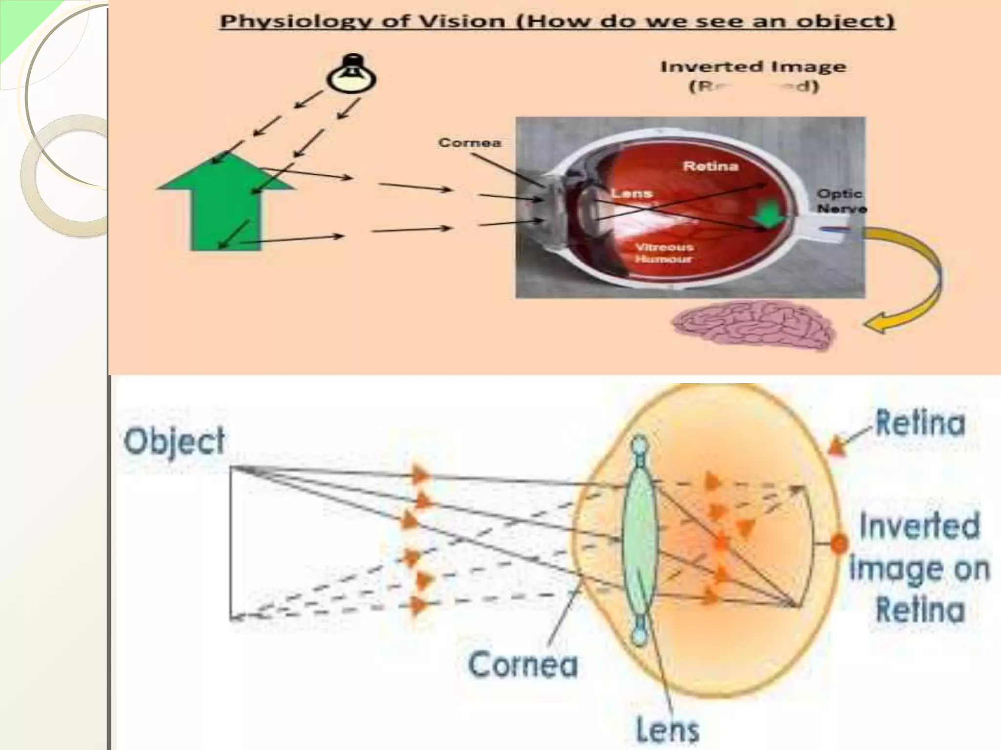 Eye Anatomy & Physiology | PPTX