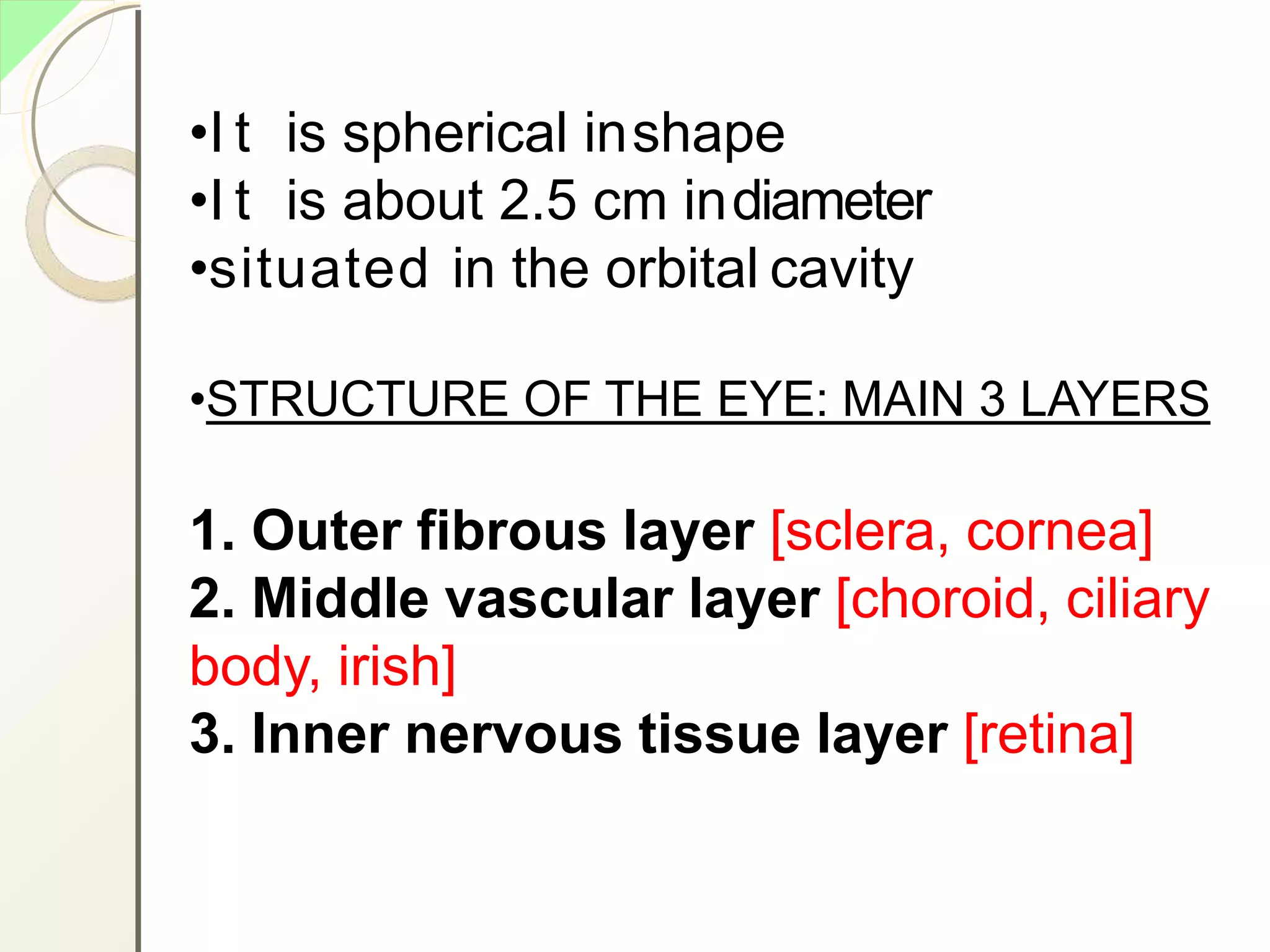 Eye Anatomy & Physiology | PPTX