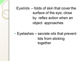 Eye Anatomy & Physiology | PPTX