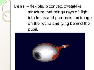 Eye Anatomy & Physiology | PPTX