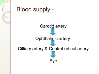 Eye Anatomy & Physiology | PPTX