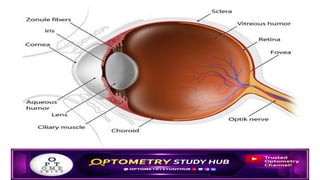 EYE 👁️ ANATOMY Optometry Notes (1).pdf