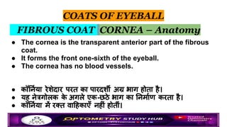 EYE 👁️ ANATOMY Optometry Notes (1).pdf