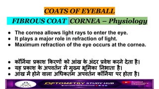 EYE 👁️ ANATOMY Optometry Notes (1).pdf