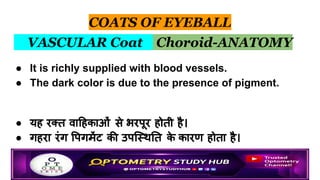 EYE 👁️ ANATOMY Optometry Notes (1).pdf
