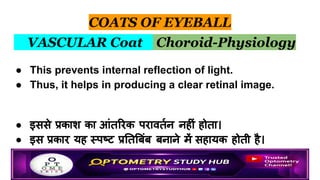EYE 👁️ ANATOMY Optometry Notes (1).pdf
