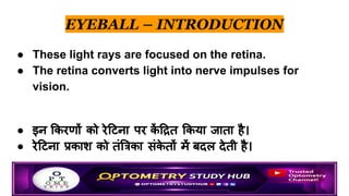 EYE 👁️ ANATOMY Optometry Notes (1).pdf