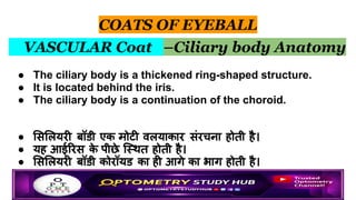EYE 👁️ ANATOMY Optometry Notes (1).pdf