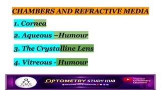 EYE 👁️ ANATOMY Optometry Notes (1).pdf