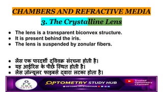 EYE 👁️ ANATOMY Optometry Notes (1).pdf