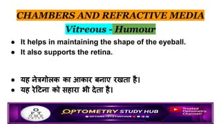 EYE 👁️ ANATOMY Optometry Notes (1).pdf