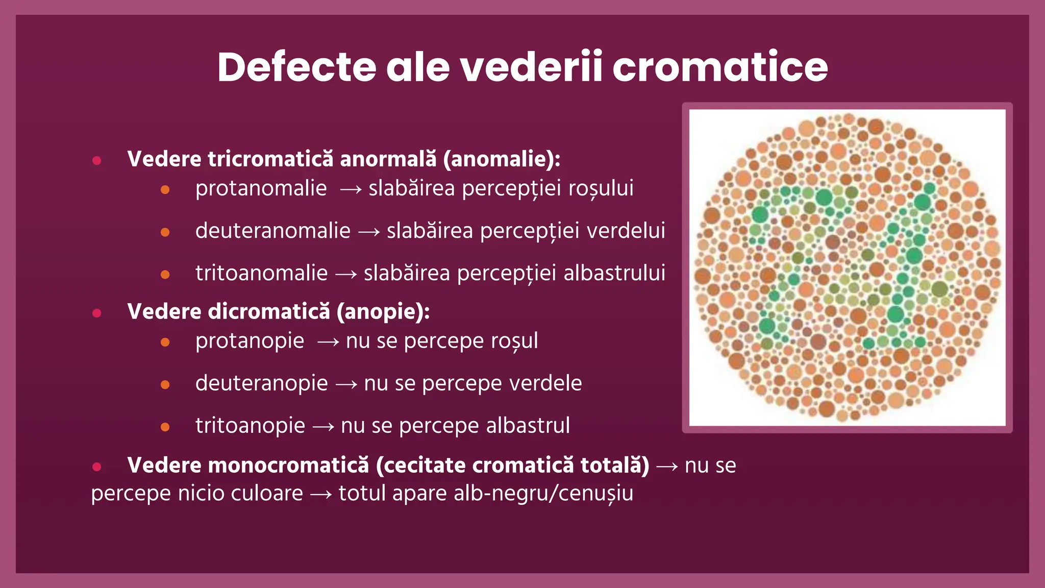Eye Anatomy minitheme presentation template | PPTX
