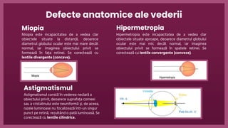 Eye Anatomy minitheme presentation template | PPT