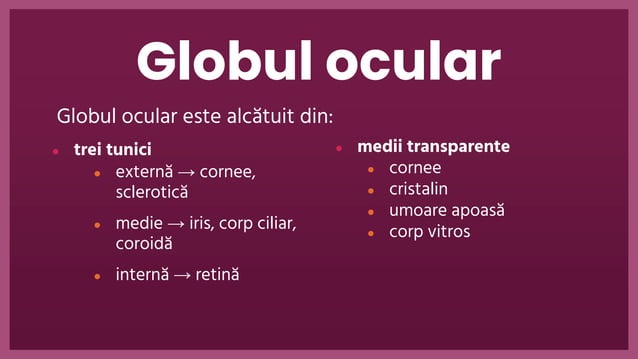 Eye Anatomy minitheme presentation template | PPT