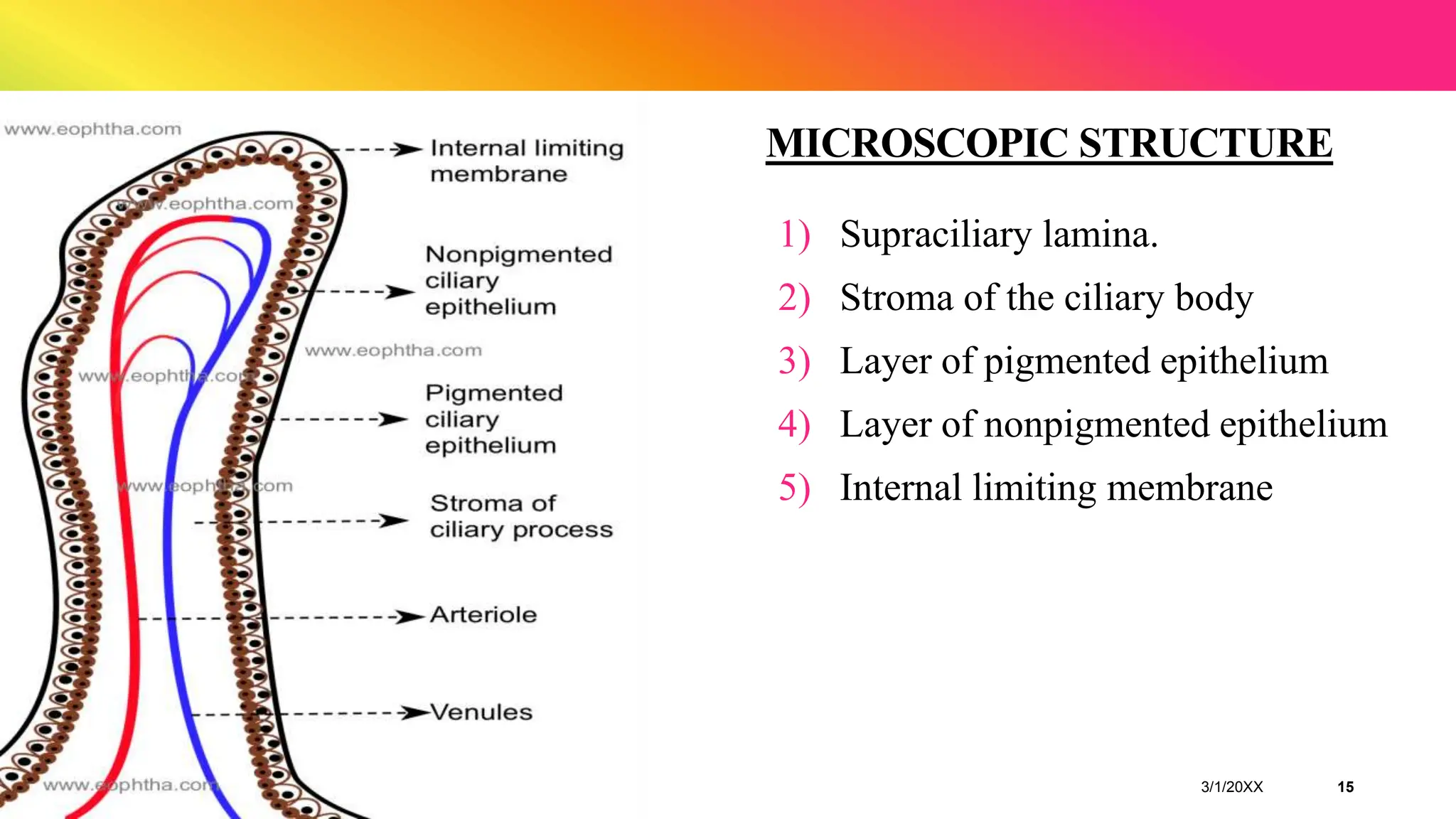 anatomy of uveal tract.pptx
