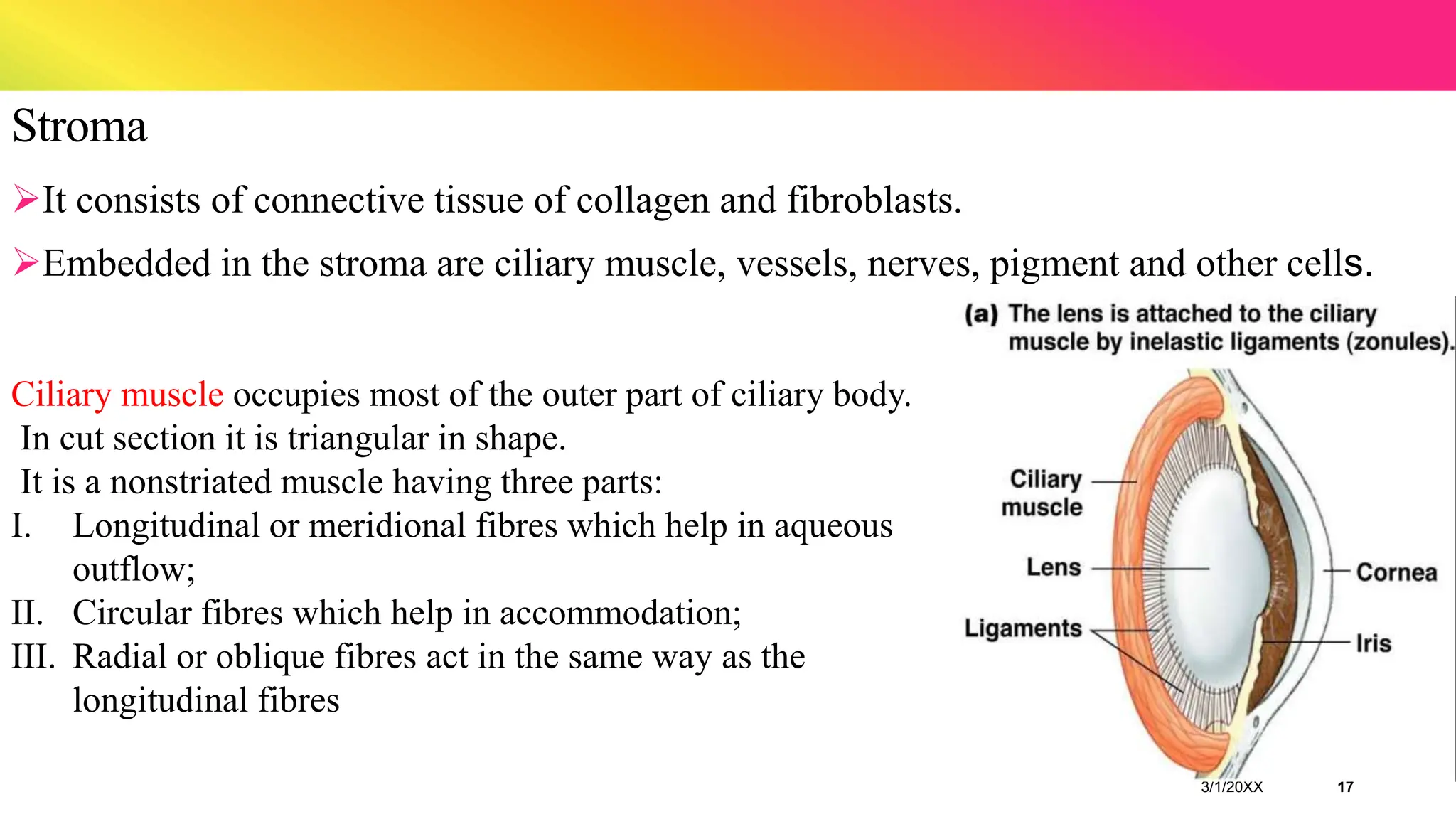 anatomy of uveal tract.pptx