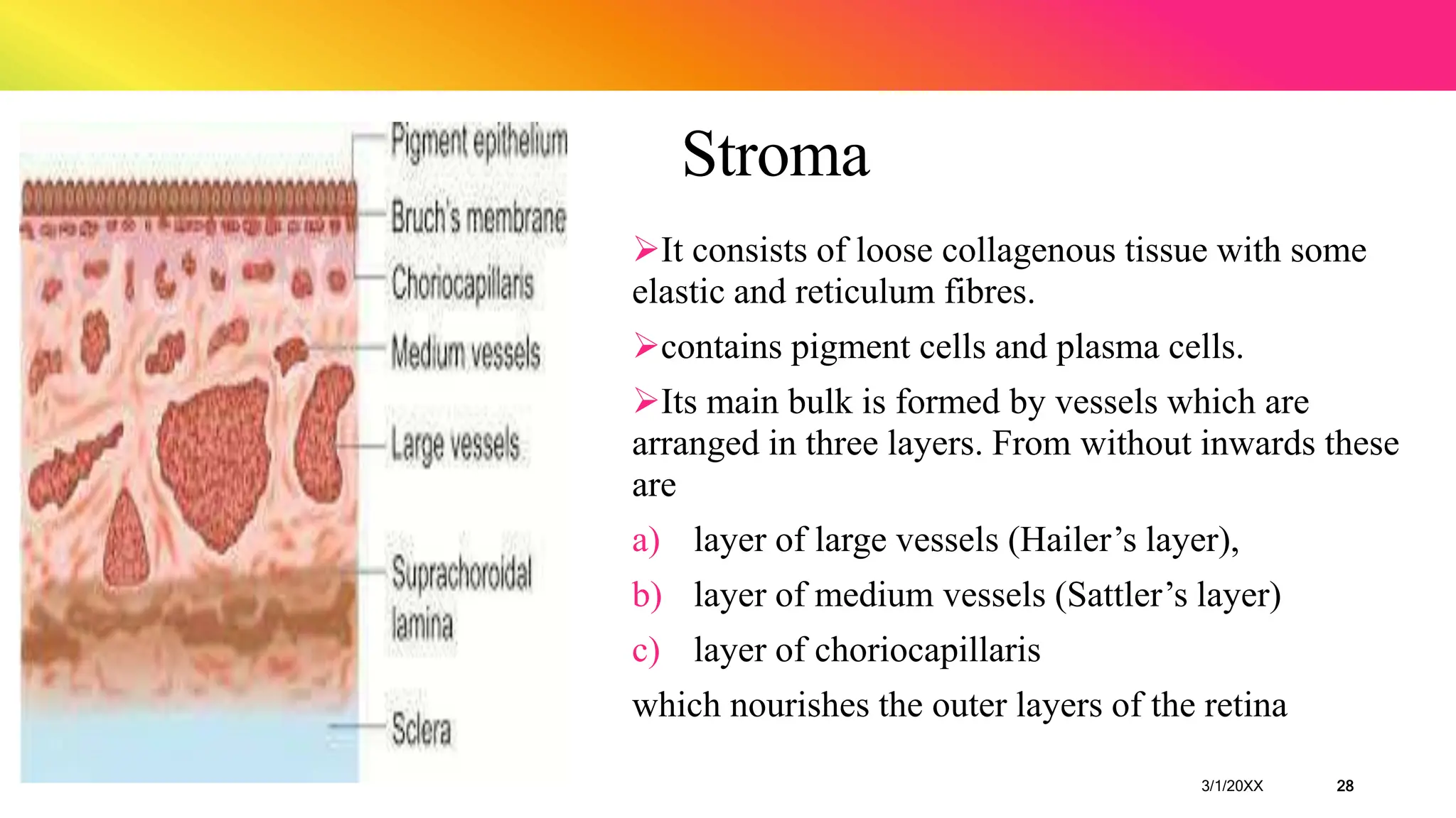 anatomy of uveal tract.pptx