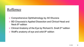 anatomy of uveal tract.pptx