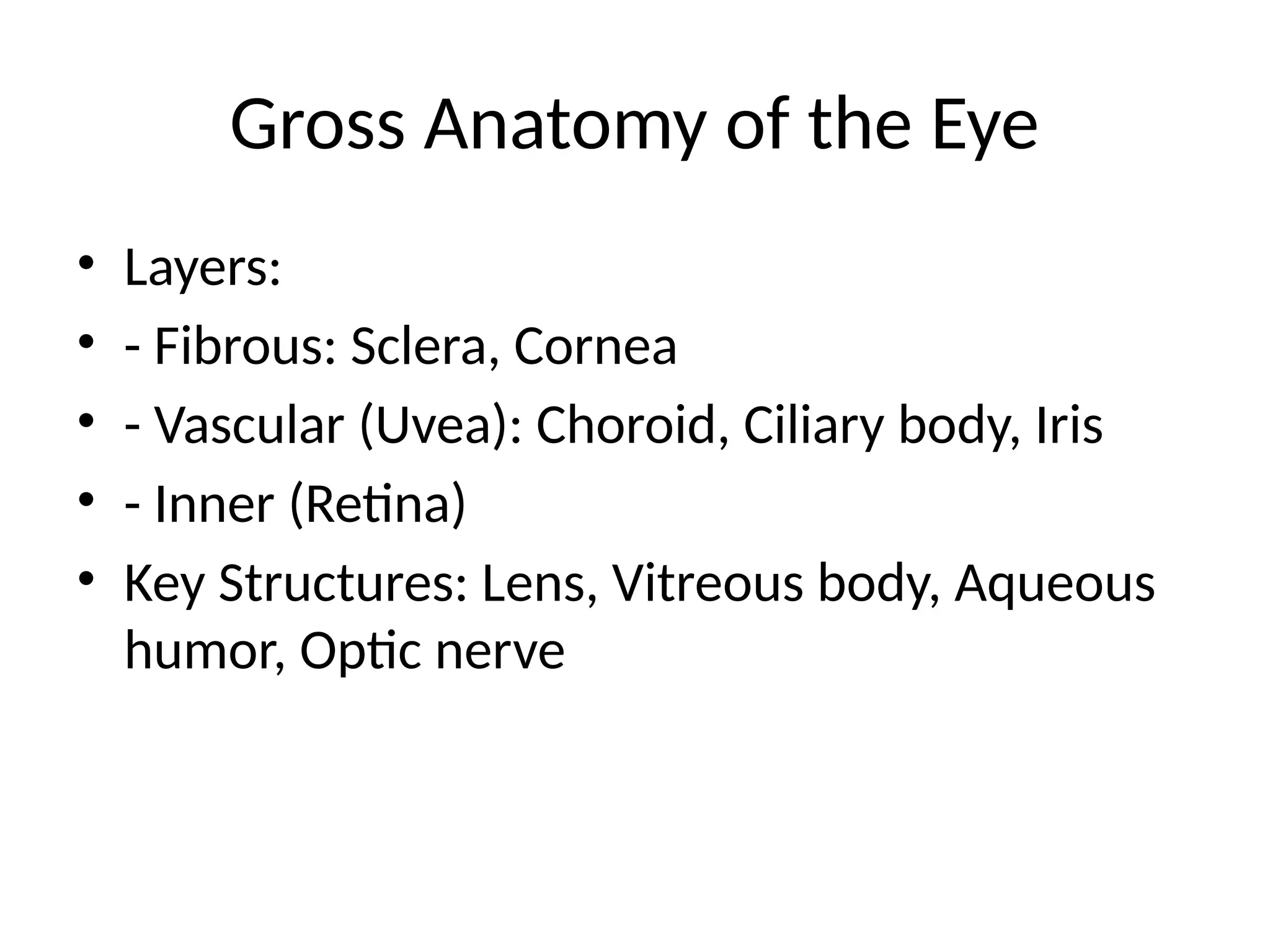 Eye_Anatomy_Physiology_Embryology_PPT.pptx