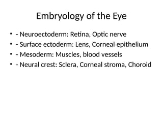 Eye_Anatomy_Physiology_Embryology_PPT.pptx