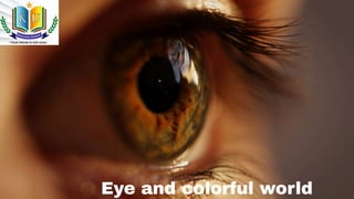 Eye and colorful world reflection and refraction | PDF