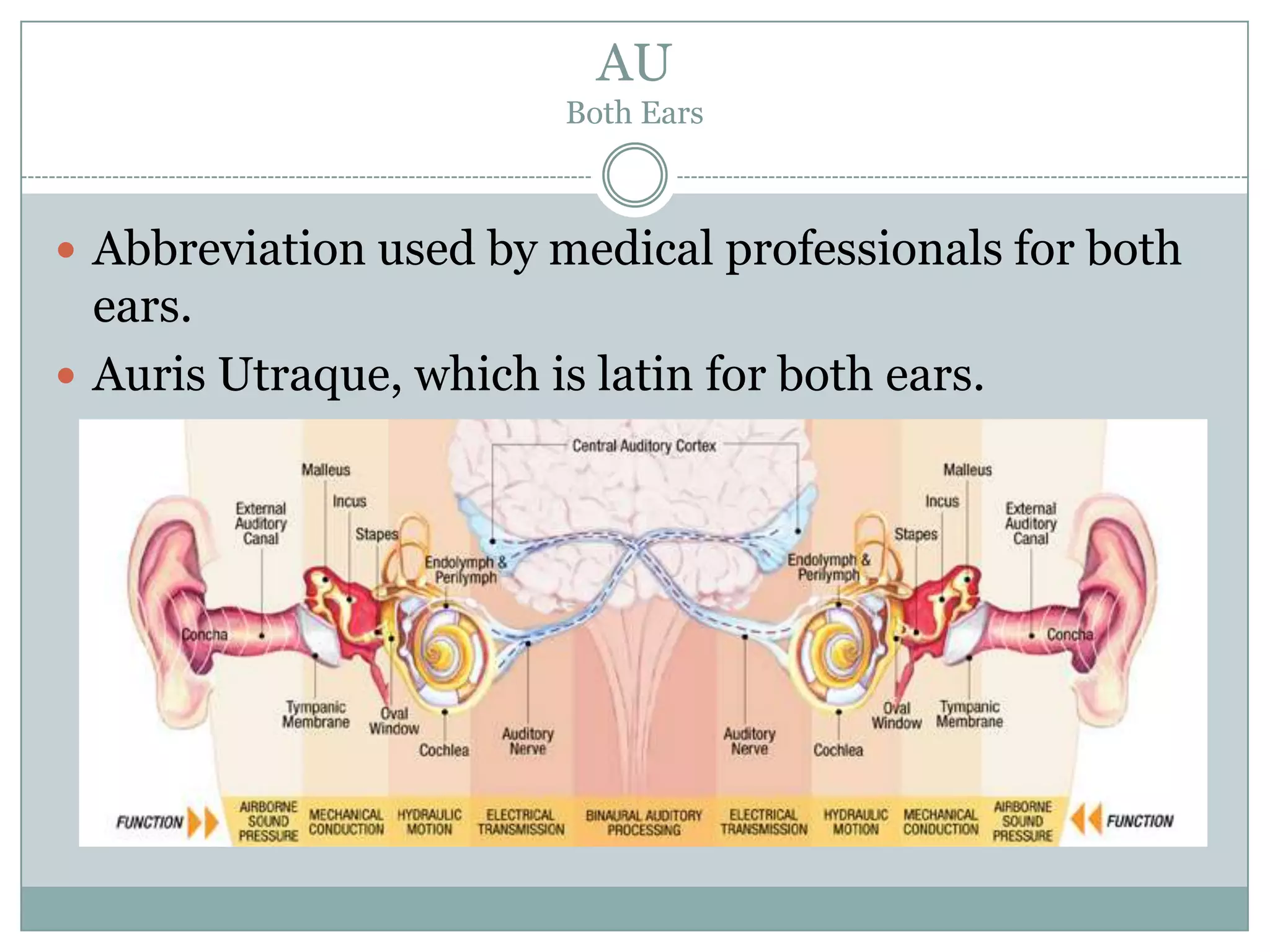 Eye and ear presentation | PPTX
