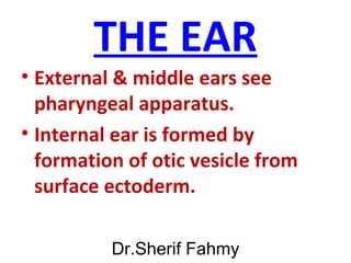 Development of Eye and Ear (Special Embryology) | PPS | Eye and Vision ...