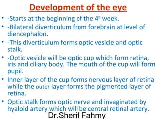 Development of Eye and Ear (Special Embryology) | PPS | Eye and Vision ...