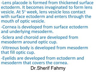 Development of Eye and Ear (Special Embryology) | PPS