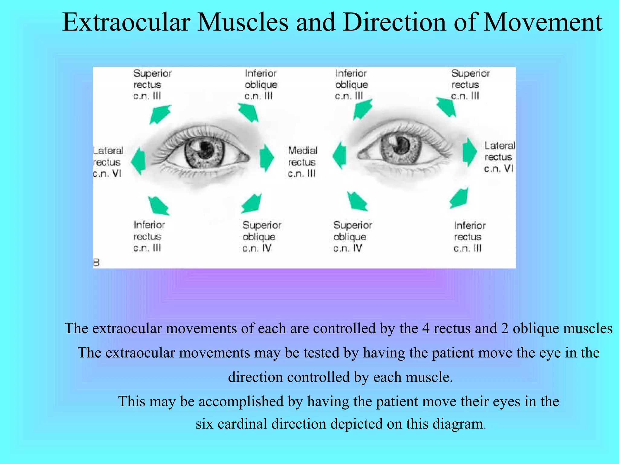 Eye and ear assessment | PPT