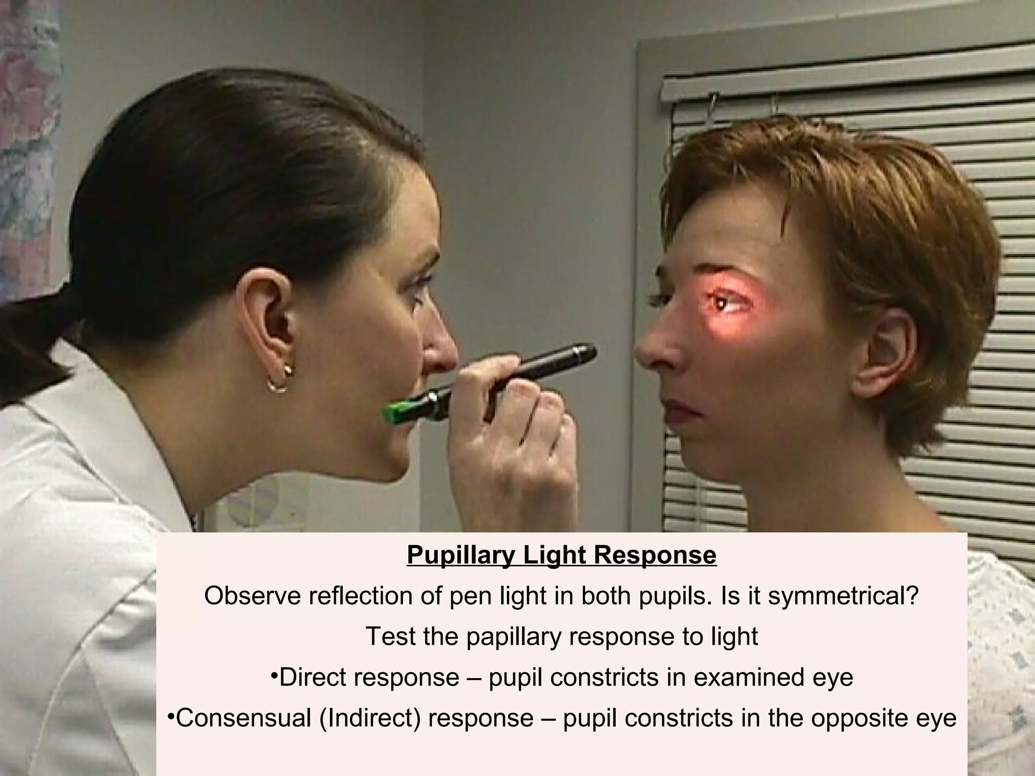 Eye and ear assessment | PPT