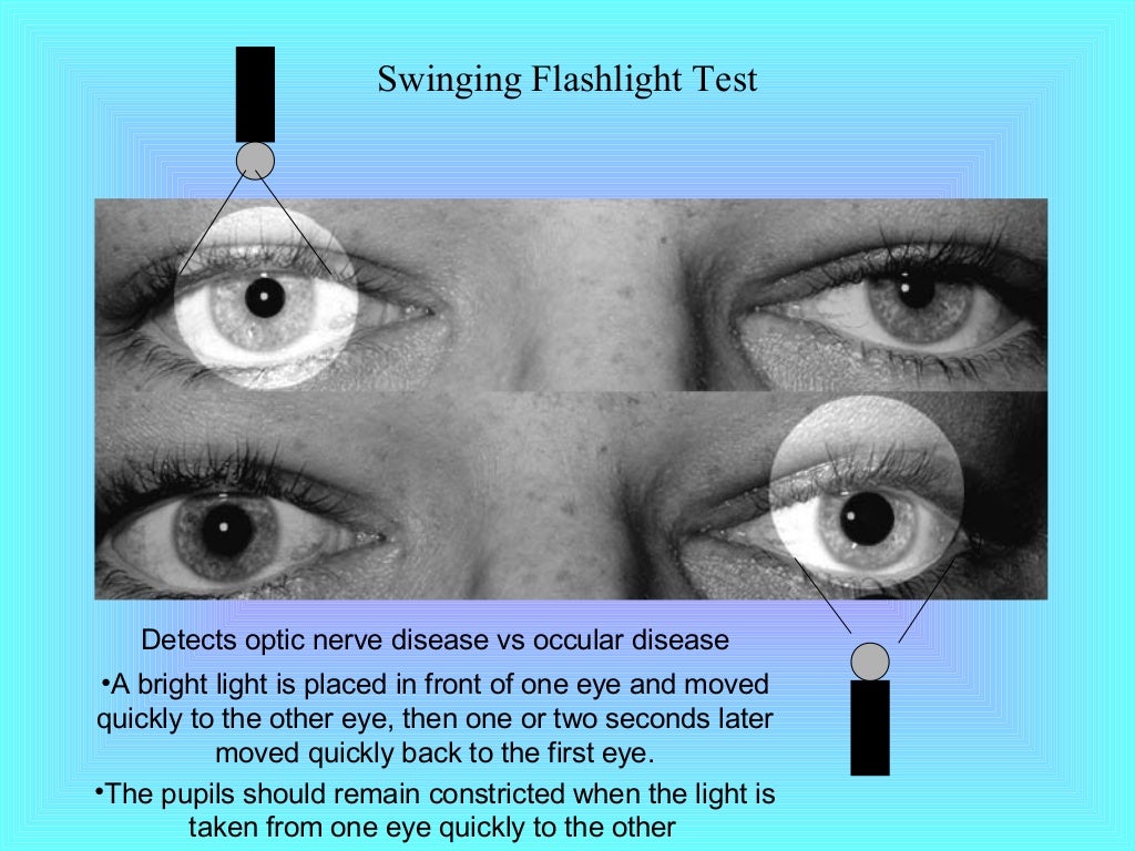 Lab Guide Ear Eye Brain