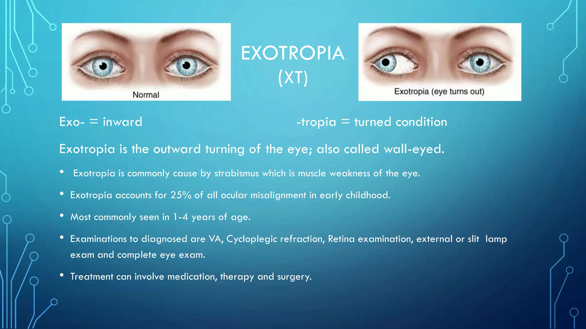 Eye and ear at a glance | PPTX
