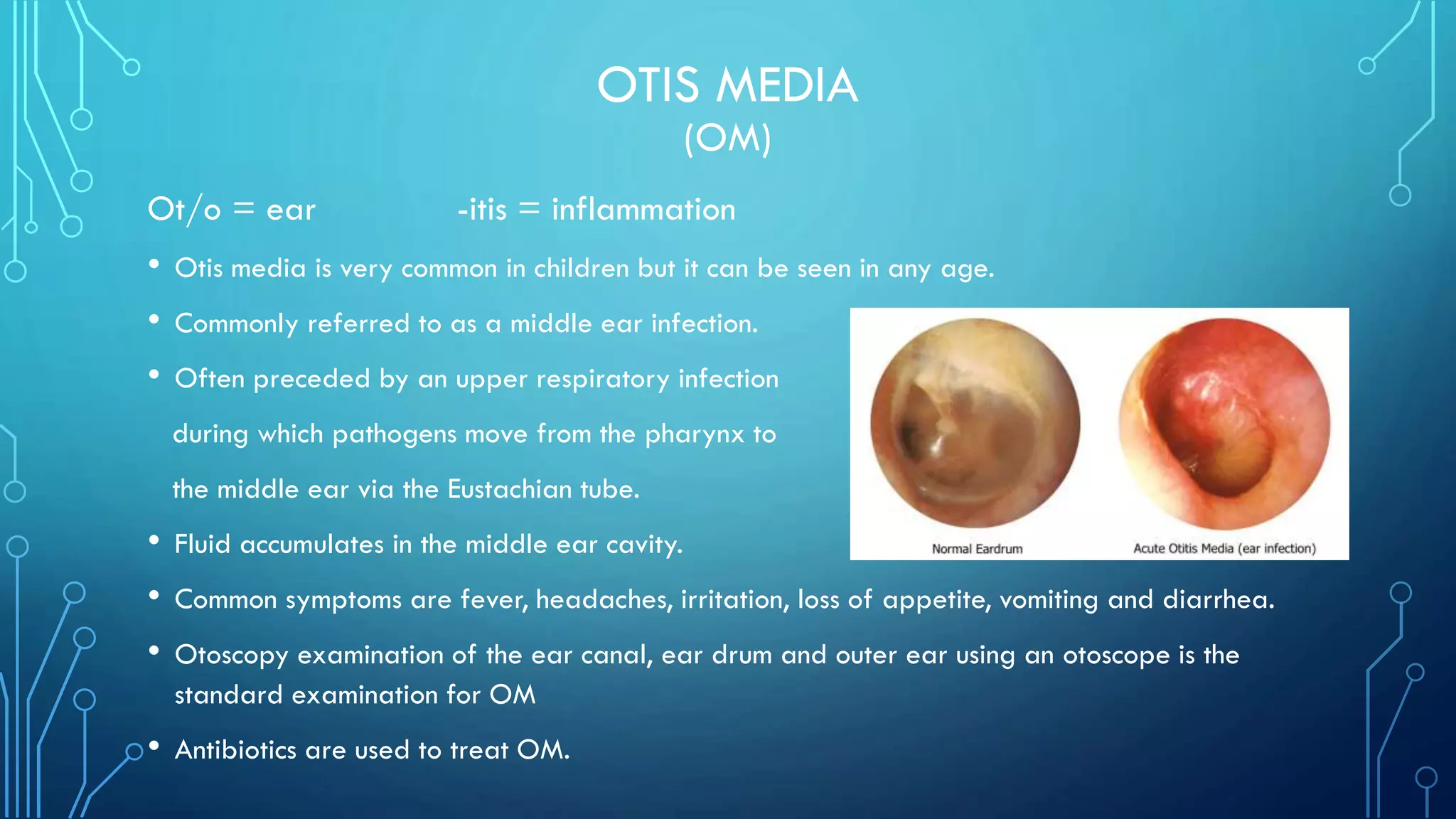 Eye and ear at a glance | PPTX