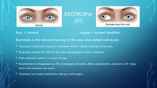 Eye and ear at a glance | PPTX