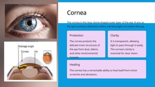 Eye and EarsEye and EarsEye and EarsEye and EarsEye and Ears.pptx