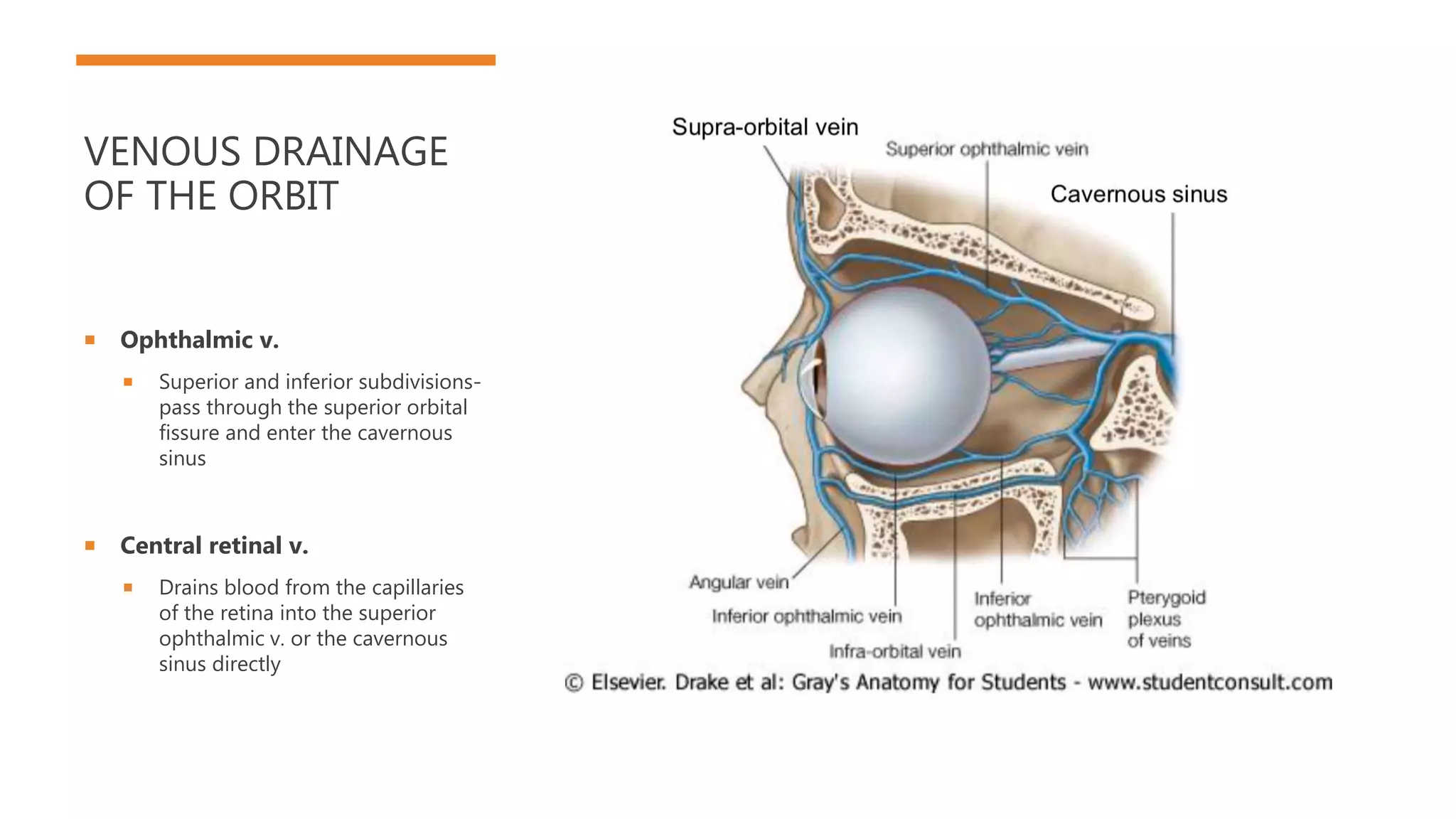 Eye and orbit revision ppt | PPTX