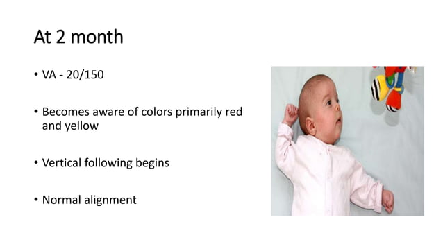 Eye and vision at birth and childhood | PPT