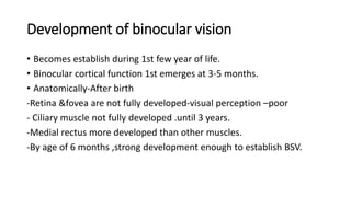 At What Age Is Vision Fully Developed