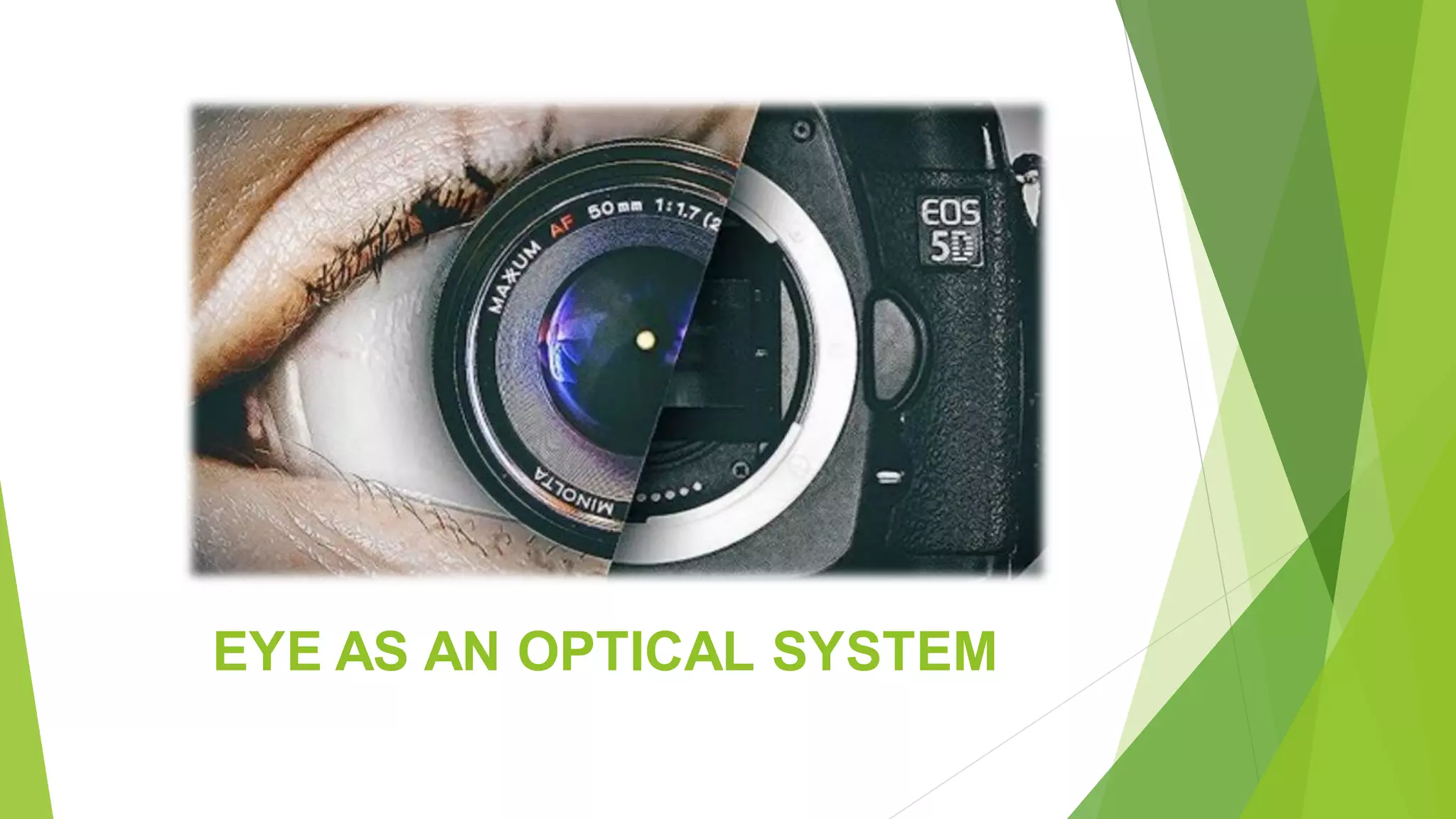 Eye as an optical system. | PDF
