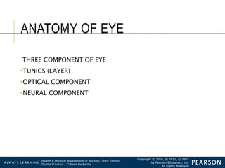EYE ASSESSMENT.ppt | Eye and Vision Conditions | Diseases and Conditions