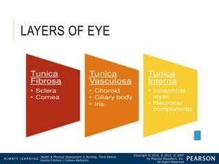 EYE ASSESSMENT.ppt | Eye and Vision Conditions | Diseases and Conditions